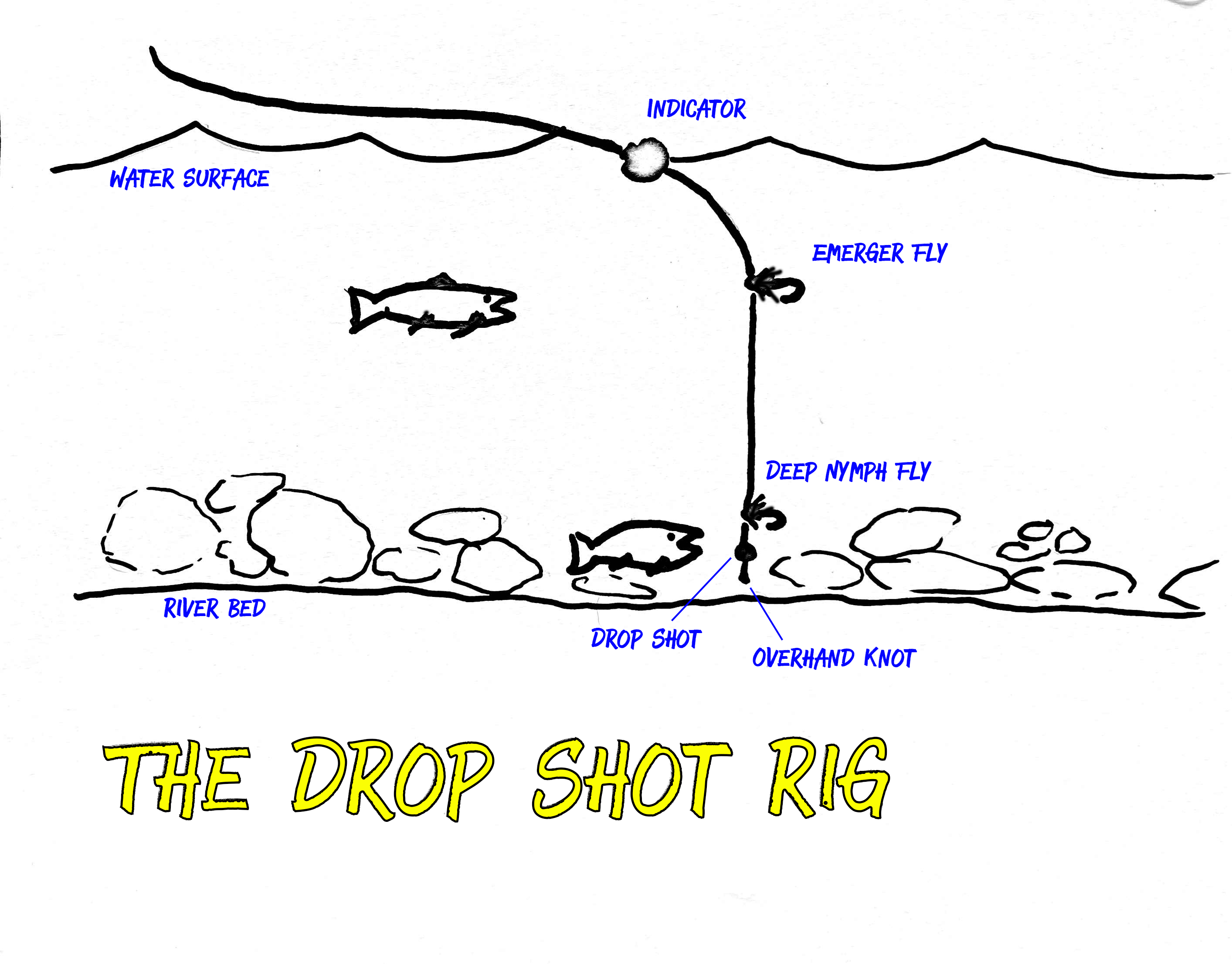 Drop Shot Nymph Rig: How to Catch More Trout When Fly Fishing