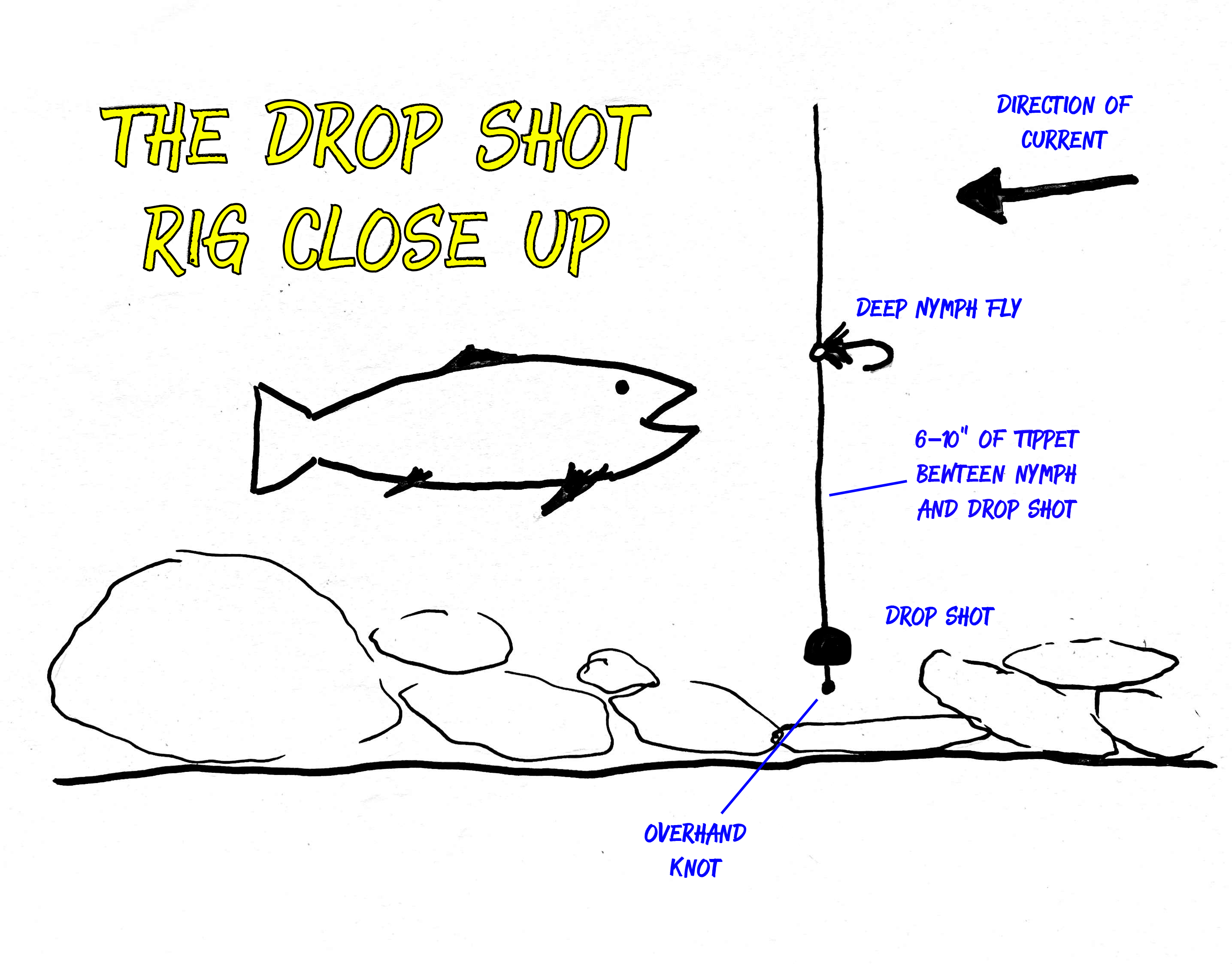Drop Shot Nymph Rig: How to Catch More Trout When Fly Fishing