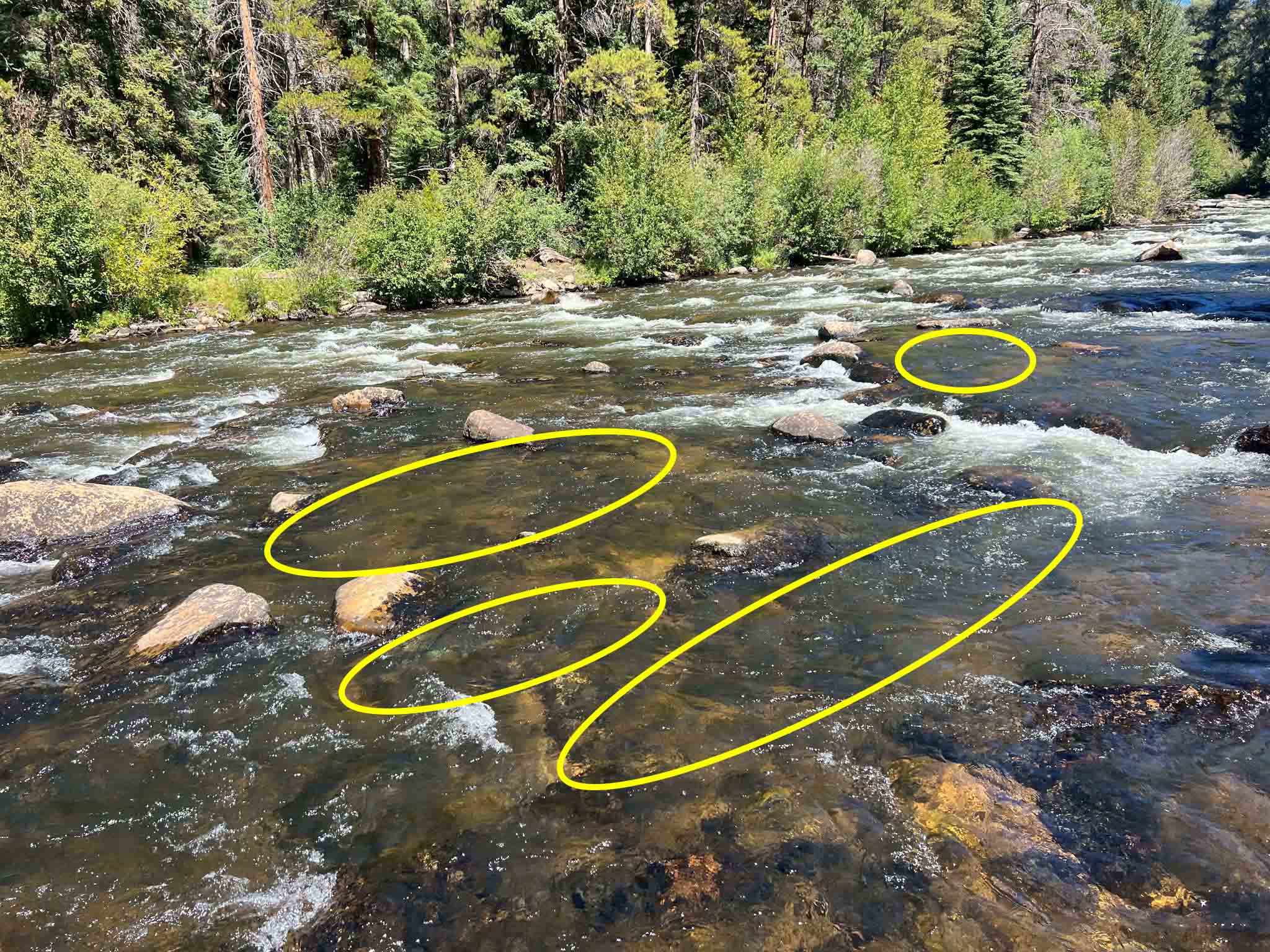 What is an Eddy in A River? Understanding Eddy Currents