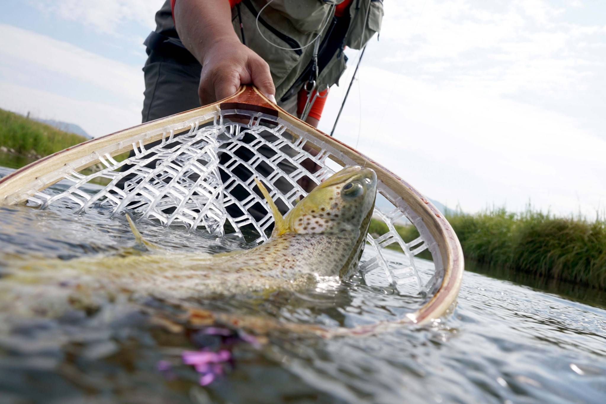 The Best Hook Size for Trout | Understanding Fishing Hook Sizes