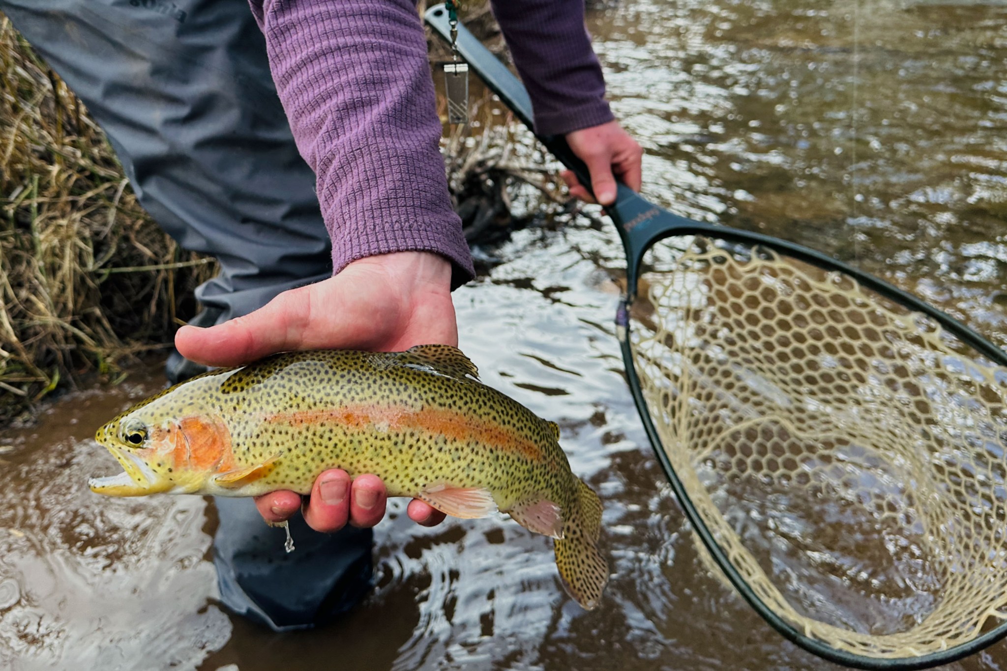 The Best Hook Size for Trout | Understanding Fishing Hook Sizes